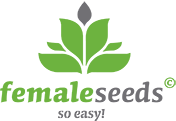 Female Seeds Easy Sativa Feminized (Sativa Selection)